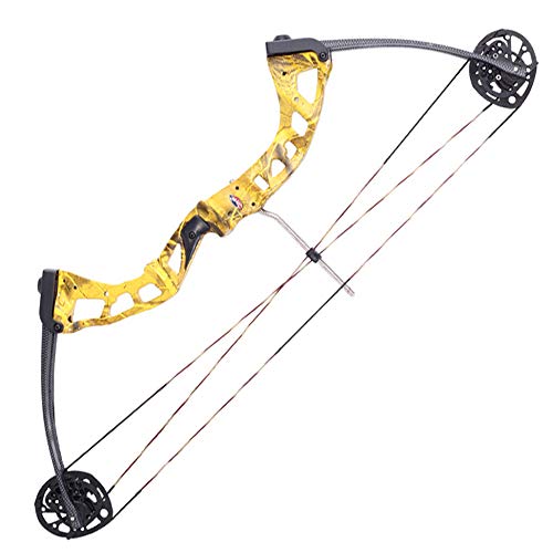 GOFEI Compound Bows, 35-70LB Outdoor Archery Equipment Magnesium Alloy Archer Practice Set for Adult Archer Training Beginners,Yellow