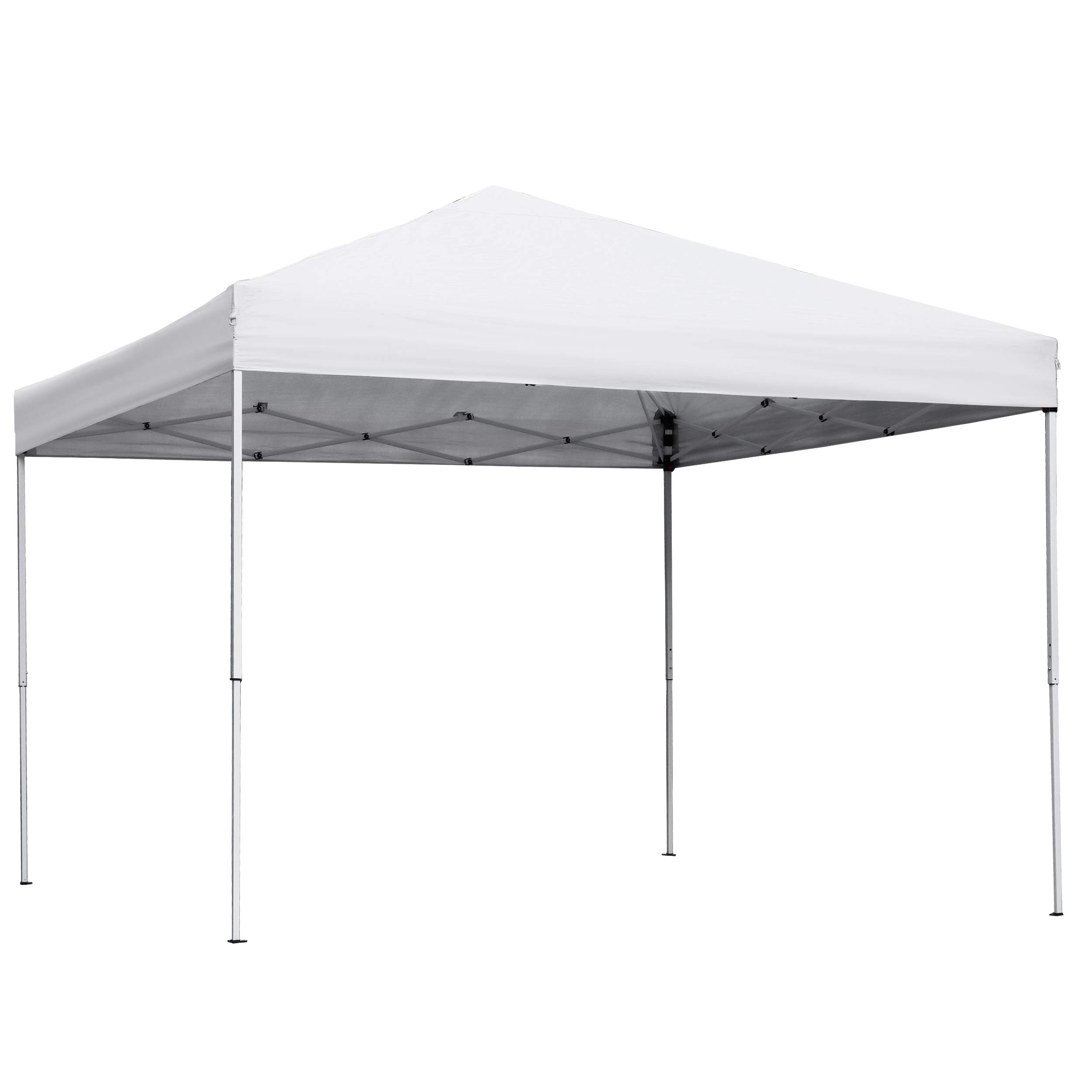 F2C 10x10 FT Pop Up Canopy Tent, Foldable Adjustable Outdoor Waterproof Sun Protection Shelter with Wheeled Carry Bag for Camping Picnic Wedding Party (Gray)