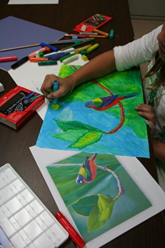Faber-Castell Gel Sticks - 12 Twistable Watercolor Crayons for Kids with Brush - Watercolors for Kids