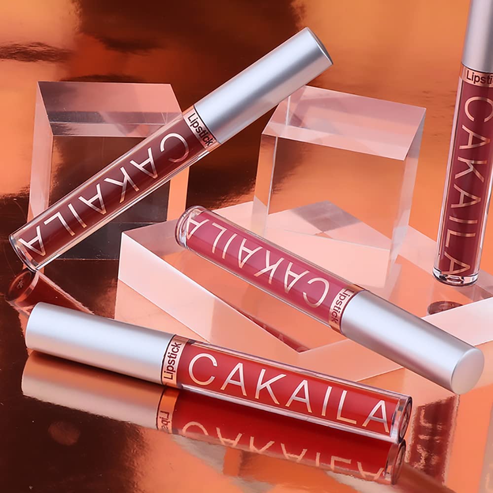 FAEYLI MAKEUP 9Pcs Matte Liquid Lipstick+1Pcs Lip Plumper Makeup Set Kit,women 24 hour stay waterproof long lasting lip gloss (A-Set 9+1 Colors 02)