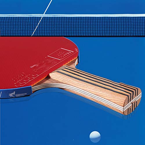 Hewen-Ping Pong Set Durable Table Tennis Set Table Tennis Racket Ping Pong Bat Set with 1 Rackets, 10 Balls and 1 Racket Case Table Tennis Bat (Size : Short)