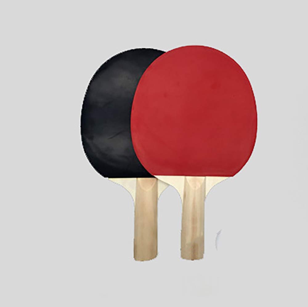 Hewen-Ping Pong Set Horizontal Grip Table Tennis Racket Pingpong Paddle Ping Pong Bat Set with 2 Rackets, 3 Balls Table Tennis Bat