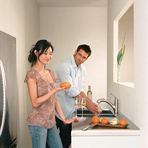 Moen, Spot Resist Stainless CA87316SRS Pullout Spray Faucet from the Renzo Collection, Size