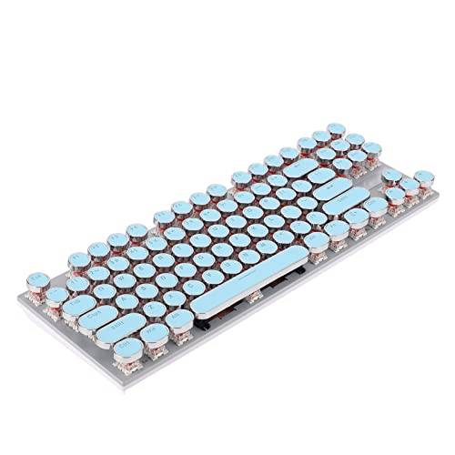 Mechanical Gaming Keyboard, Red Switch RGB Backlit Lighting 87 Keys USB Wired Gaming Keyboard for Win ME, for Win2000, for Win XP, for Vista, for Win7, for Win8, for Win10 (Blue Electroplating Punk)