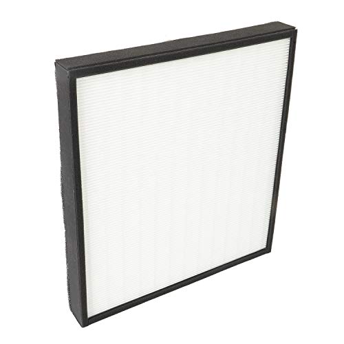 Flintar FLT5900 H13 Grade True HEPA Replacement Filter J, Compatible with GermGuardian Air Purifier AC5900WCA and AC5900WDLX, H13 Grade True HEPA + Activated Carbon Filter, 1-Set
