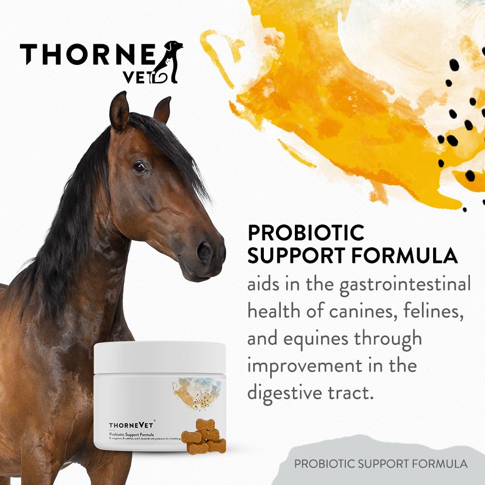 ThorneVET Probiotic Support Formula β Gastrointestinal Support for Dogs, Cats & Horses 60 Soft Chews