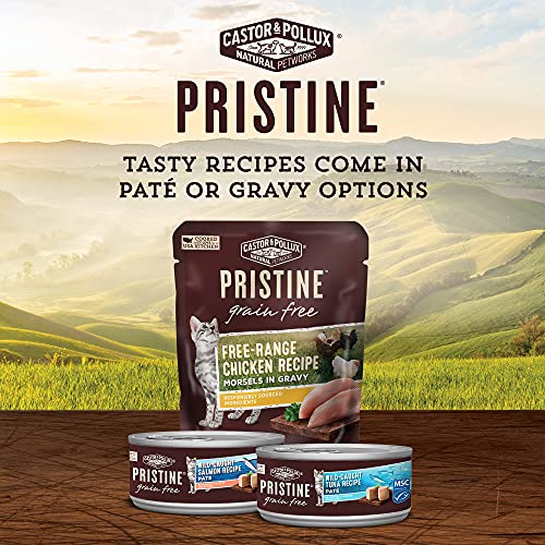 PRISTINE Grain Free Wild-Caught Salmon Recipe Pate Wet Cat Food - (24) 3 oz. Cans