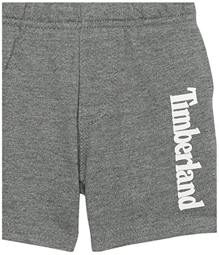Timberland baby boys 2 Pieces Tee Shorts Set, Scarlet Ibis, 18M US