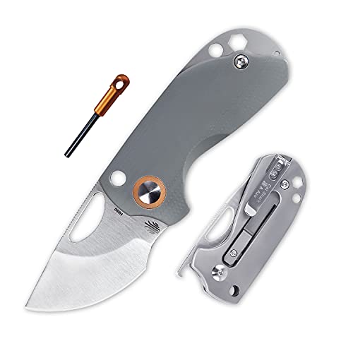 Kizer Catshark Folding Knives Non-Locking with 1.95 Inch N690 Blade Every Day Pocket Knife V256