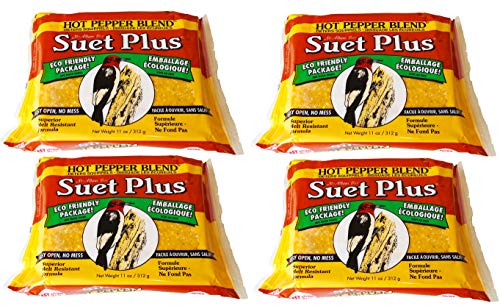 Hot Pepper Suet Value Pack 4 Hot Pepper Suet Cakes for Wild Birds 11 Ounces Each