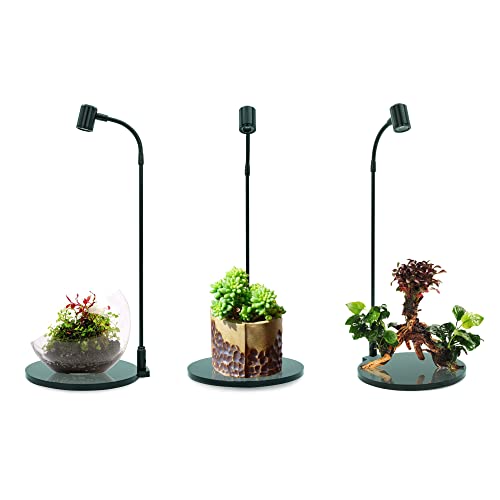 HIRO AQUATICS Mini Terrarium Aquarium Black Spotlight for Potted Plants, Betta Fishes, Bottle Jars, Displays, Indoor Plant, Succulents, Air Plants