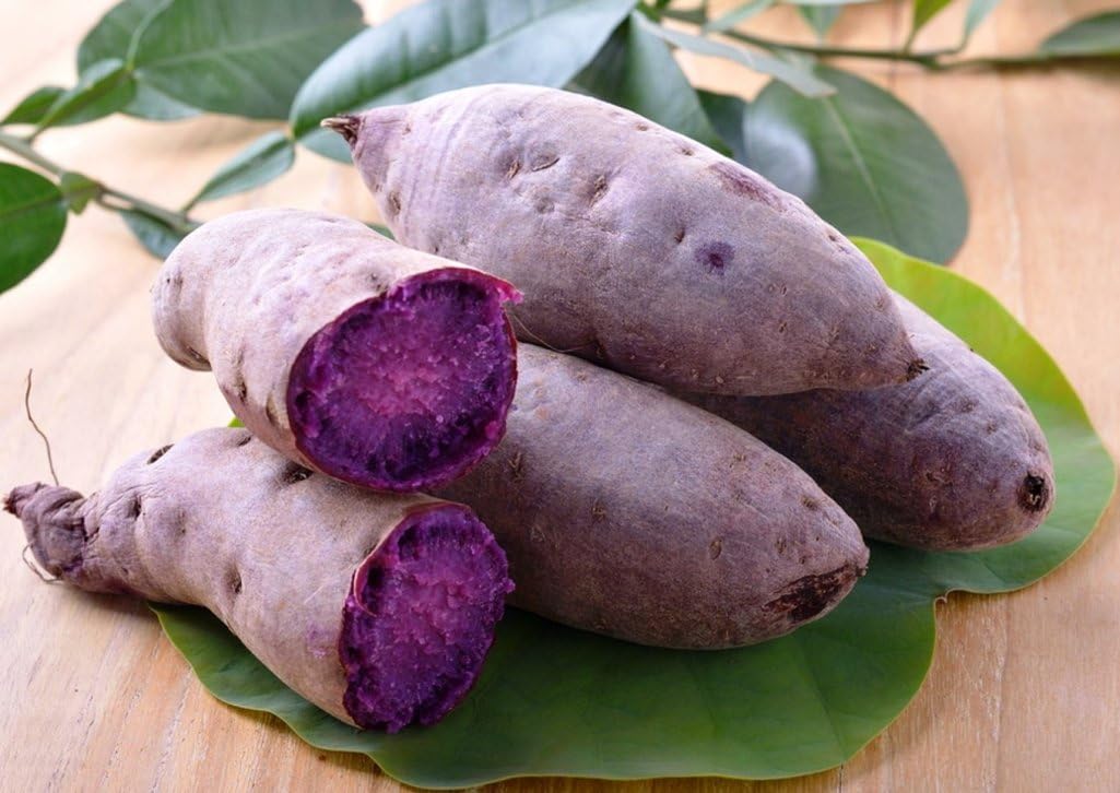 Japanese Purple Sweet Potato (1 LB)Excellent yields and flavor. Stores well.
