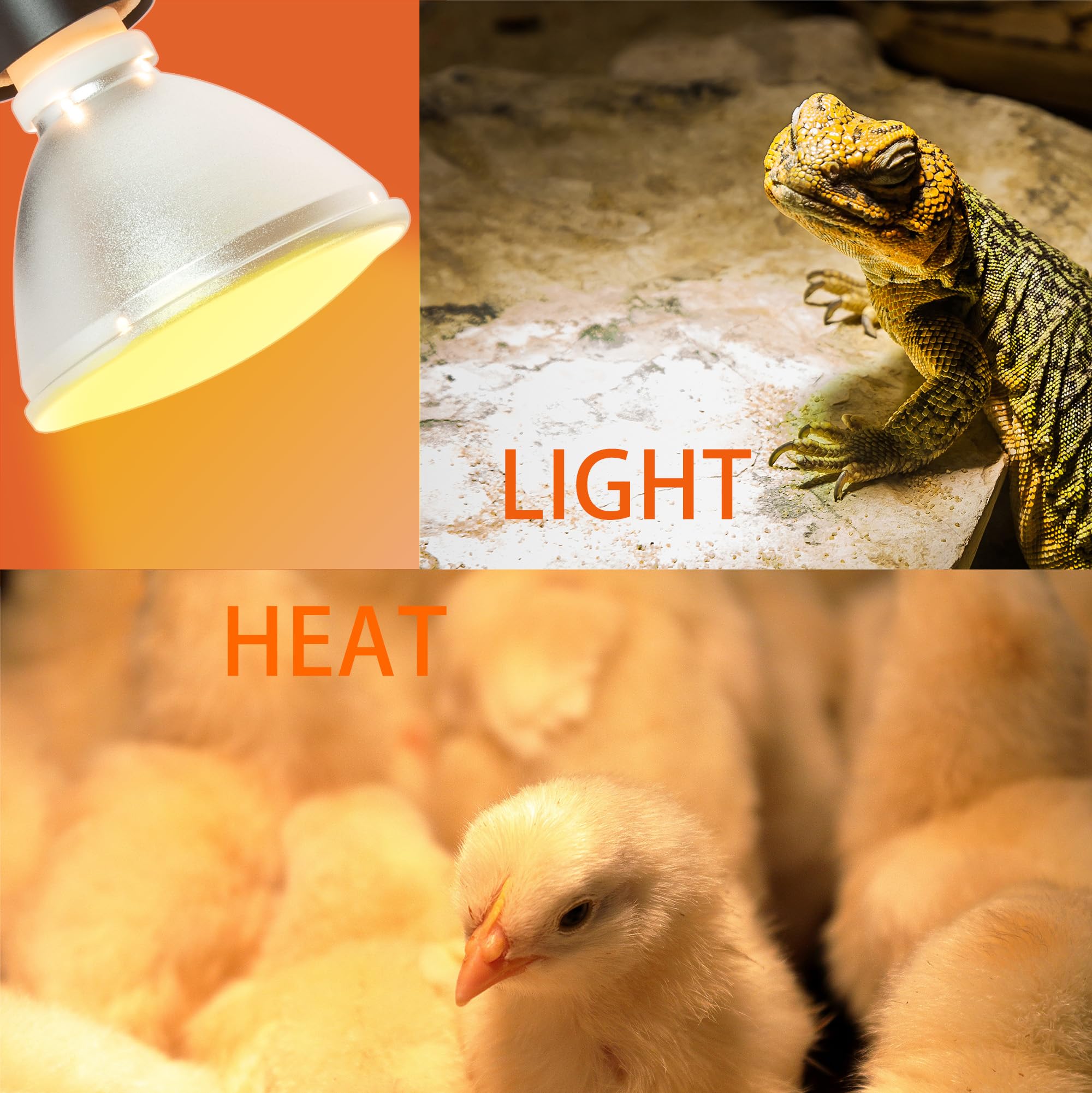ExoRepti Reptile Heat Lamp Bulb Greenhouse Warming Bulb Reptile Light for Lizard, Turtle, Bearded Dragon, Hedgehogs, Snake Amphibians, Chicks, With 2 Bulb Beads (75 Watt). New Replaceable Bulbs Design