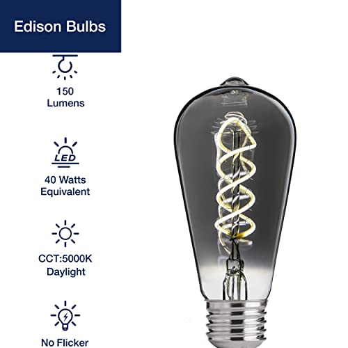 FLSNT 5000K Daylight ST19 LED Edison Bulbs, Vintage LED Dimmable Spiral Filament Light Bulbs, E26 Medium Base, 4W(40W Equivalent), CRI80, 150LM, 4 Pack, Smoky Grey Glass