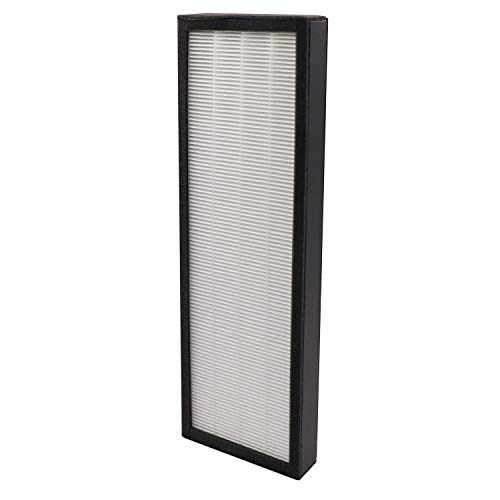 FLT4825 True HEPA Air Purifier Filter B Replacement Compatible for GermGuardian FLT4825 AC4850PT AC4900CA PureGuardian AP2200CA, 1 HEPA Filter + 4 Pre-Filters