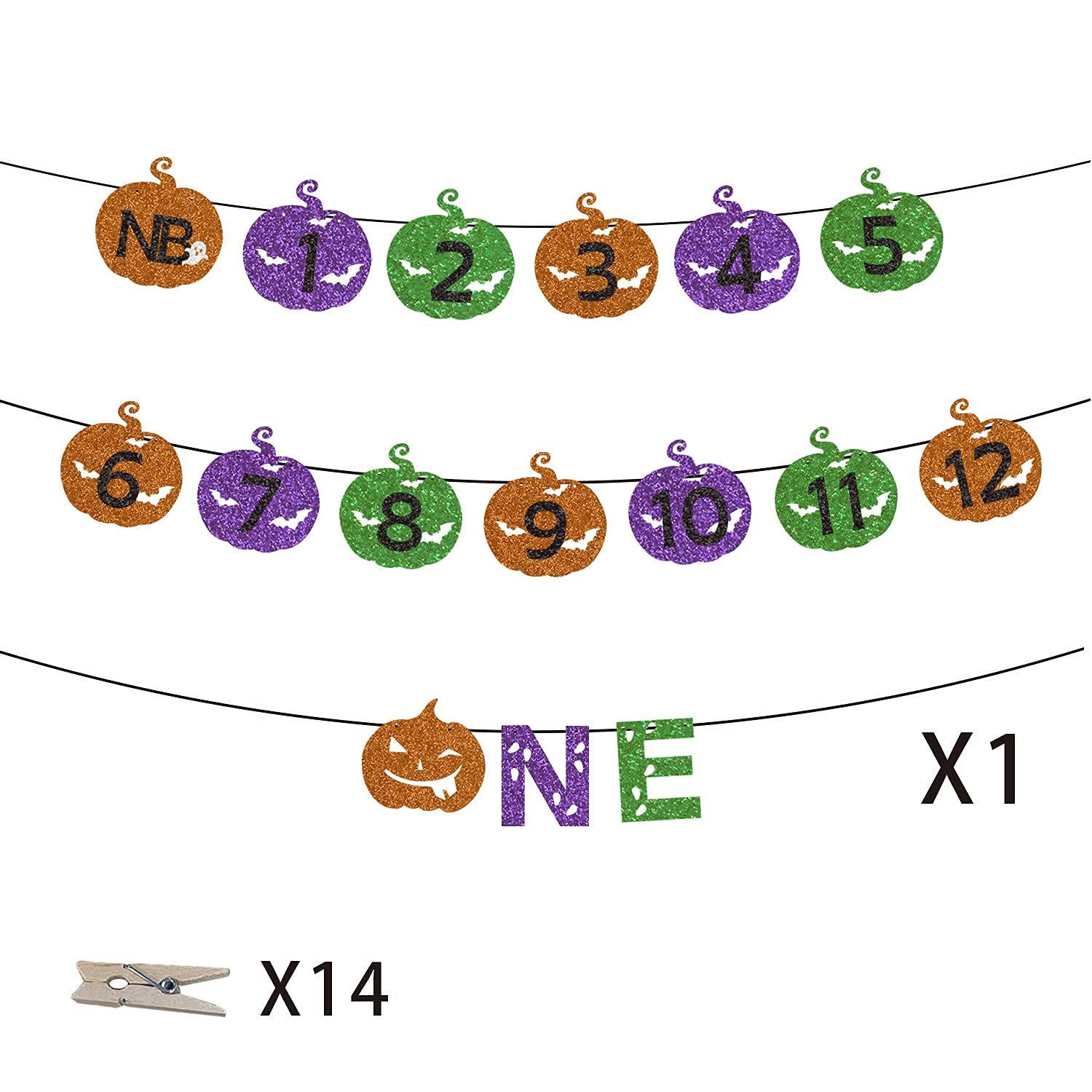 Halloween 1ST Birthday Party Decorations Pumpkin 12 Month Photo Banner for First Birthday Halloween First Birthday Decorations The Spooky One Birthday Decorations