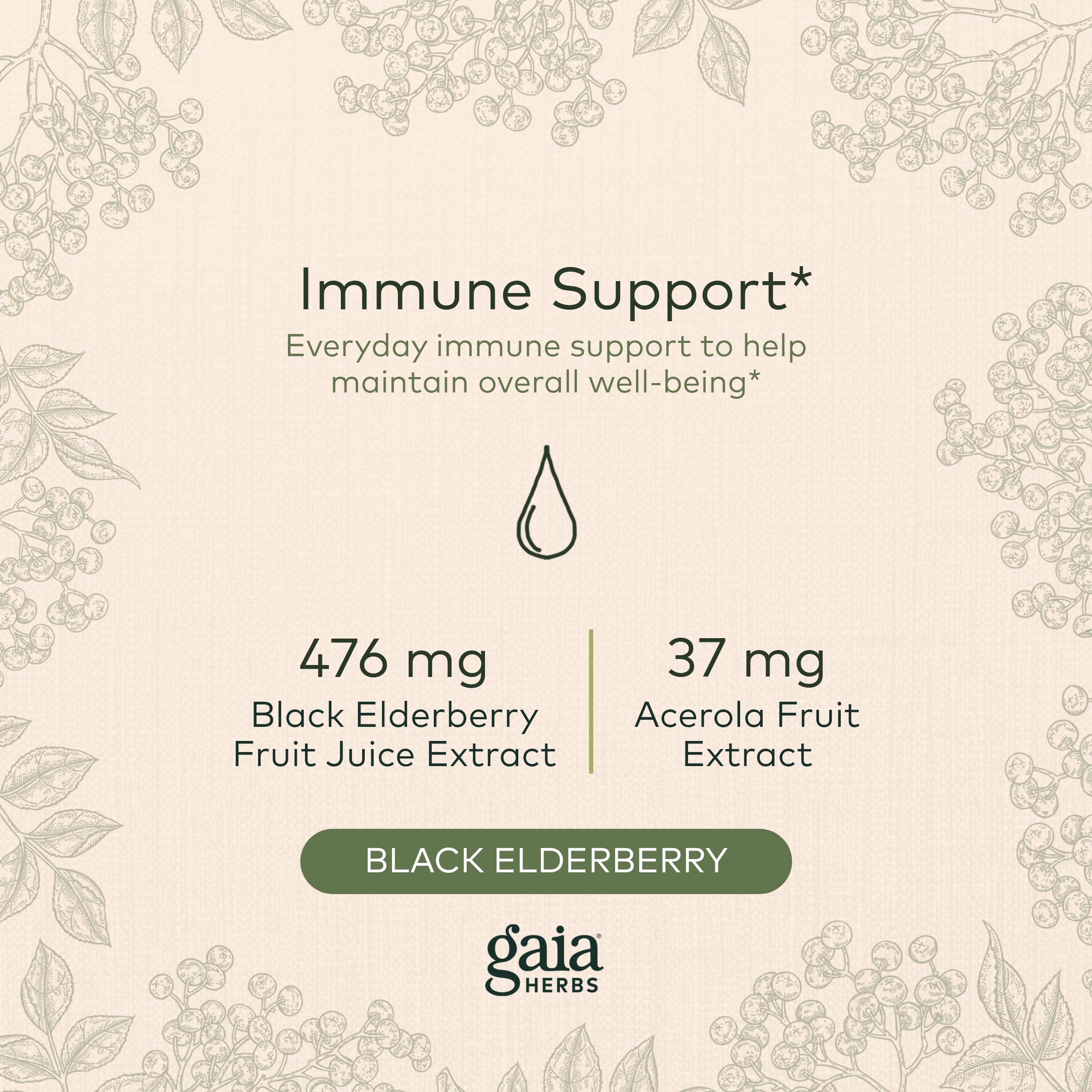 Gaia Herbs Black Elderberry (Sambucus Nigra) Syrup-Immune Support Supplement-Made with Organic Black Elderberries for Immune System Support-USDA Certified Organic Formula-5.4 Fl Oz (32-Day Supply)