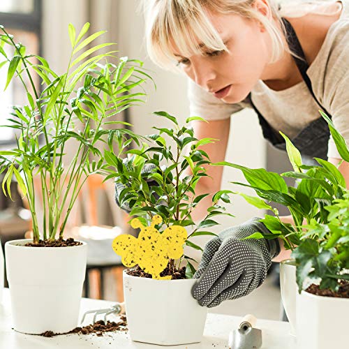 Kensizer 16pcs Yellow Sticky Traps for Gnats, Sticky Fruit Fly Fungus Gnat Trap Bug Traps Killer for White Flies, Aphids, Leaf Miners, Thrips Indoor Outdoor