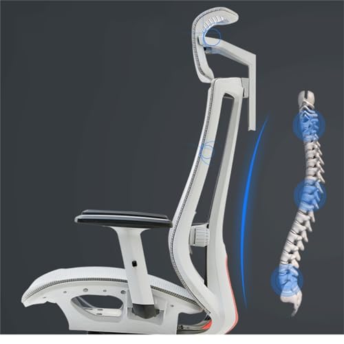LNYHLXS Comfortable Office Chair Long Sitting Employee Computer Chair