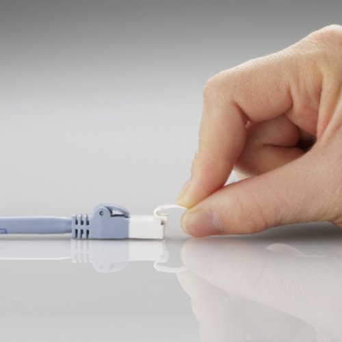 Elecom Category 6 corresponding LAN cable (White ? 5.0m) LD-GFT / WH50