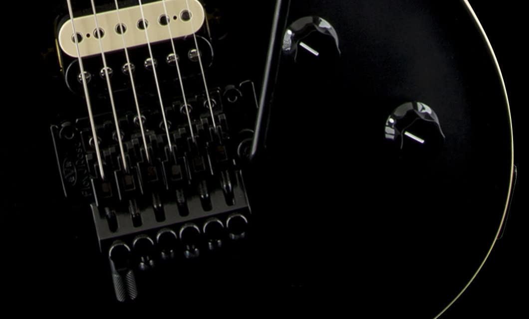 EVH Wolfgang Special - Stealth