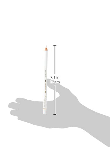 Faber-Castell Polychromos Artists' Single Pencil - Colour 101 White