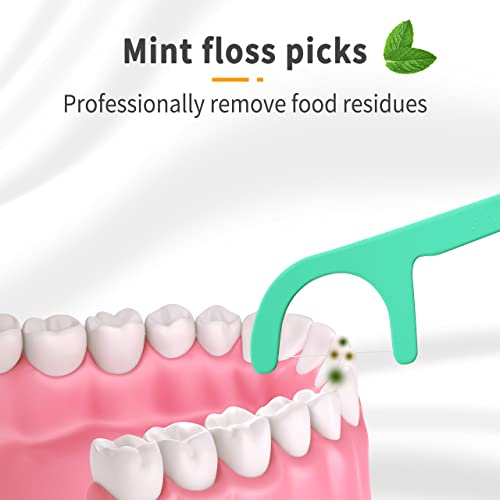 Mint Dental Floss Picks,Tooth Picks Flossers for Adults,600 Count with a Portable Travel Cases Floss