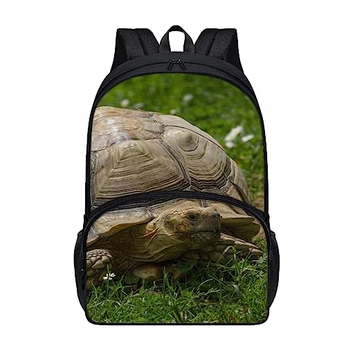Parprinty Kids Funny Animal Tortoise Backpack for Boys Girls Comfy Padded Lightweight Sturdy Student School Backpack with Front Pocket Double Zipper 17 Inch Kids Basic Black Daypack Bookbag
