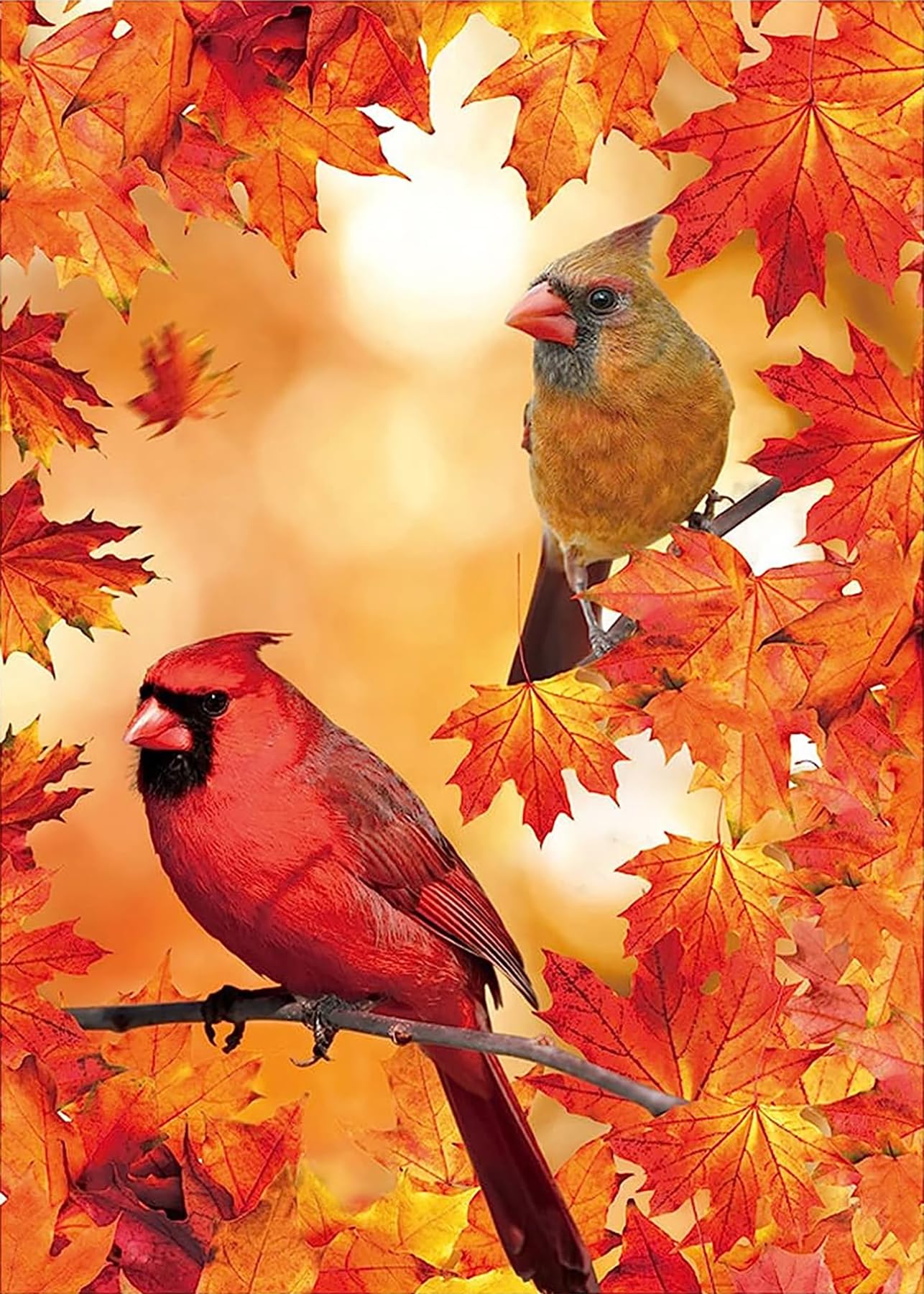Fall Birds Diamond Painting Kits for Adults, Cardinal 5D Diamond Art Kits, DIY Maple Leaves Paint with Diamonds Kit, Full Drill Round Diamond Dots Autumn Gem Art for Home Wall Decor 12 x 16 Inch