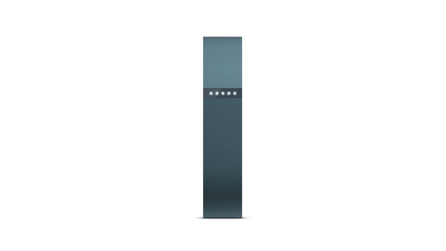 Fitbit Flex