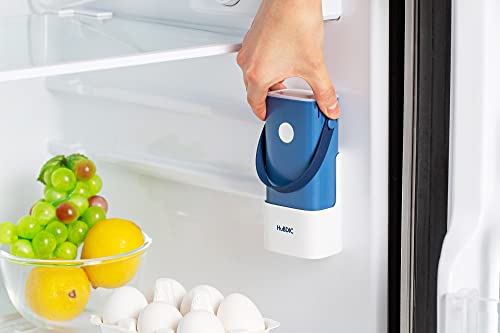 Multipurpose Deodorizer │Air Ionizer with Negative Ion to Remove Odors in Refrigerator, Shoe Closet, Bathroom, Wardrobe, Car, and Pet Litters │ Portable Air Purifier and Cleaner (Blue)