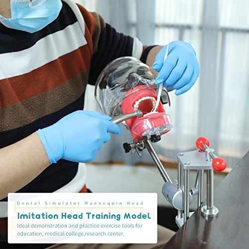 LVCHEN Manikin Simulator Head Lab Training Phantom Head with Typodont Teeth Model Fixed on Desk 1:1 High Emulation 360-Degree Adjustable for Dental Schools Education Practical Demonstration