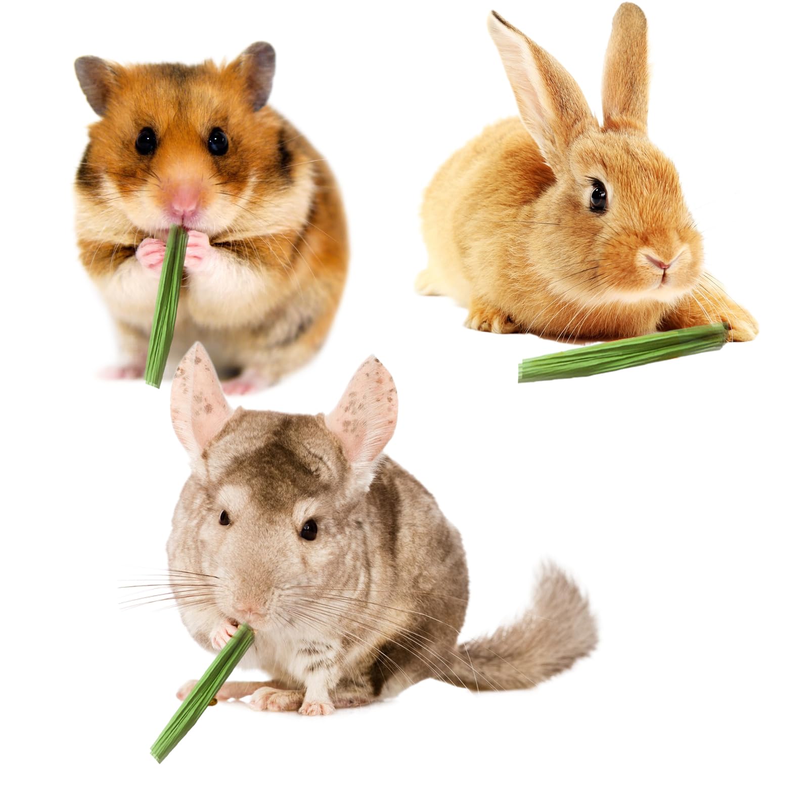 JFWOD Rabbit Natural Chew Sticks,4.6 oz Papaya Stems Bunny Chews for Rabbit Hamster Chinchilla Guinea Pig Small Animals