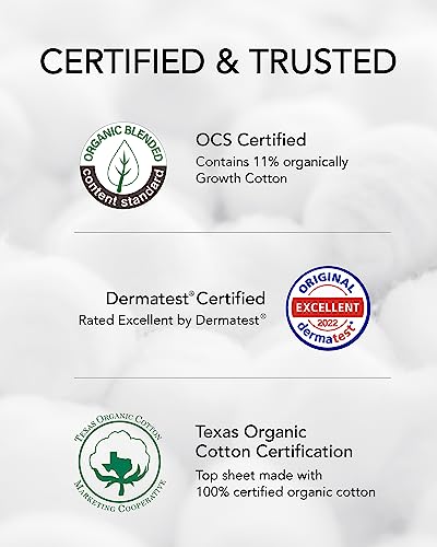 OCBON Ultra Thin Sanitary Pantyliners (Regular, 15.5cm, 40 Counts) - Ultra Thin, Unscented 100% Organic Cotton Panty Liners for Women. Chemical-Free, Extra Soft, Ideal for Sensitive Skin.