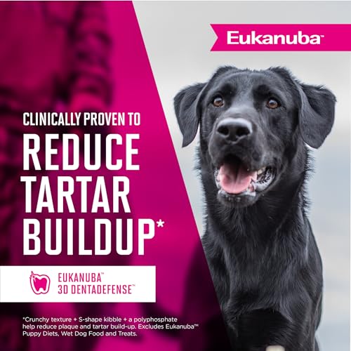 Eukanuba Adult Large Breed Lamb 1st Ingredient Dry Dog Food, 15 lb