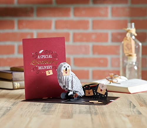 Lovepop Harry Potter Hedwig™ Birthday Delivery Pop Up Card, 5 X 7 Inches, Handcrafted 3D Pop-Up Greeting Card, Card for Kids