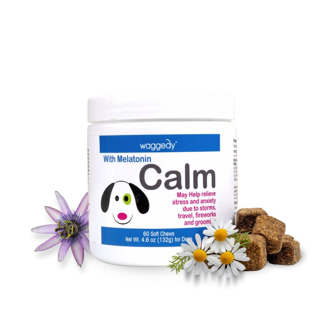 waggedy Great Start Puppy Bundle Multivitamin & Calm Aid – Large or Small Breed Puppy Supplement: Stress, Anxiety, Joint, & Immune System Support (One to Two Month Supply) 120 Puppy Treats