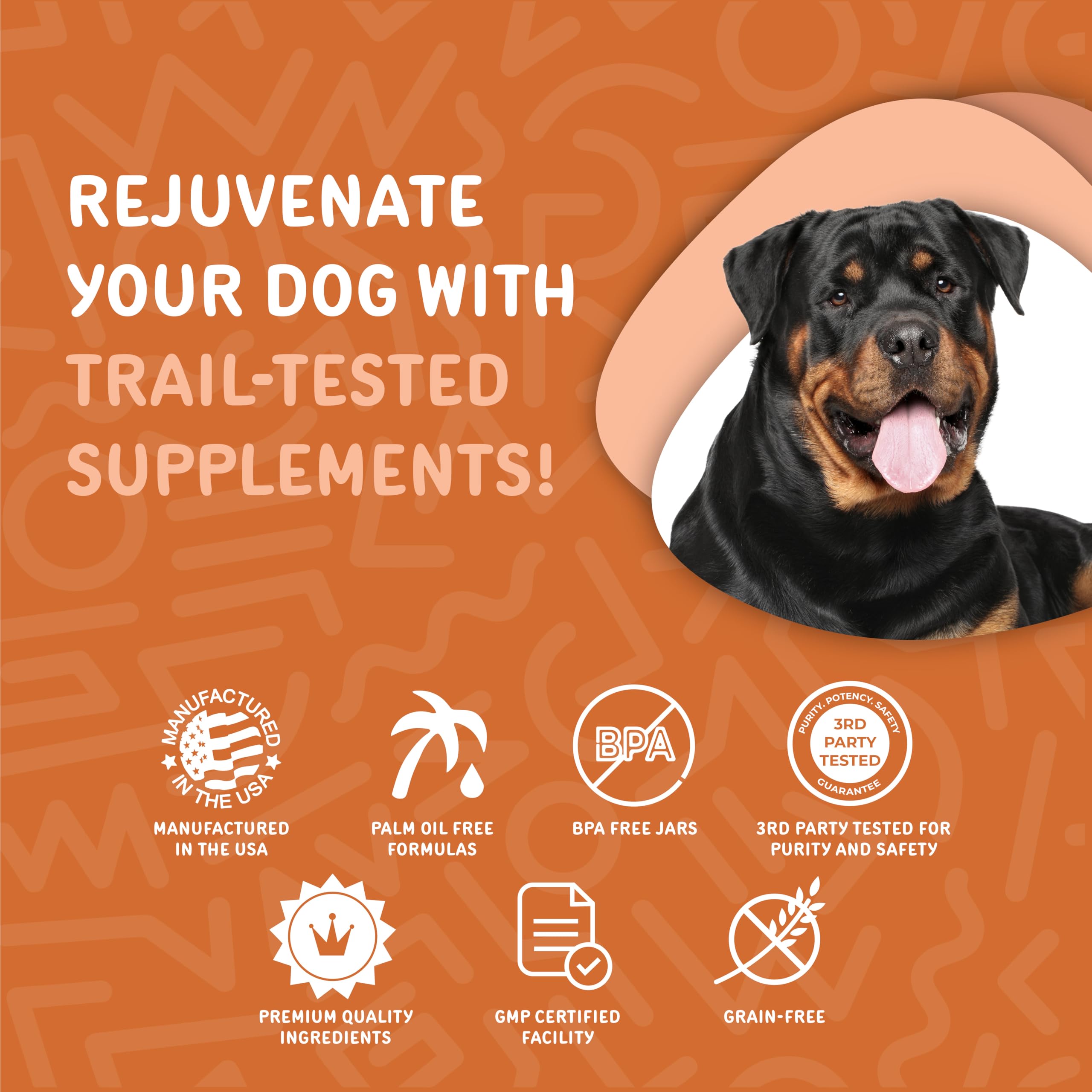 waggedy Hip and Joint Turmeric - Dog Supplements for Joints with Glucosamine & MSM β All-Natural Daily Glucosamine for Dogs to Improve Flexibility & Mobility (2 Packs of 60 Dog Chews Each)