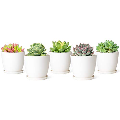 Mkono 4.5" Plastic Succulent Planters with Saucers, Indoor Set of 5 Nursery Pots Modern Flower Plant Pot with Drainage for All Small House Plants, Herbs, Foliage Plant, and Seedling, Cream White