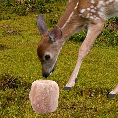 MUYG Himalayan Salt Lick Natural Minerals Block on Rope for Horses,Cattles,Deer,Goat and Other Livestock Long Lasting Original Pink Salt Lick (2.4-3.3 lbs)