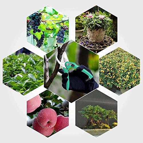 Madotree 8 inch Garden Pruning Shears,SK5 Blade Pruning Scissors,For Cutting Flowers, Trimming Plants, Bonsai and Fruits Picking