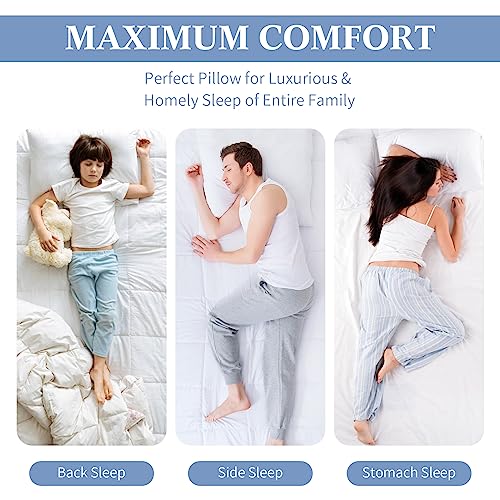 Sherwood Hotel Collection Bed Pillows for Sleeping 2 Pack Queen Size, Soft Microfiber Cover and 3D Super Soft Down Alternative Filled White Pillows, 20x28 Inches