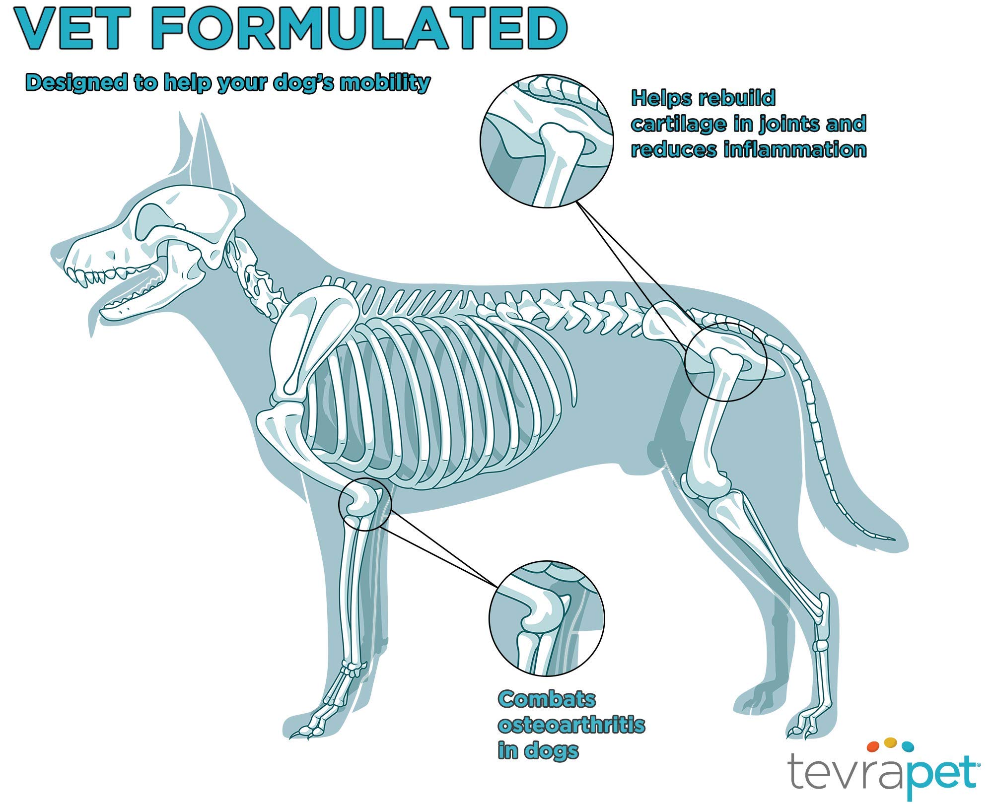 TevraPet Triple Action Hip & Joint Soft Chews, 60 daily chews, 13.2 oz