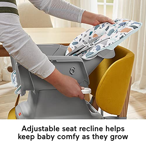 Fisher-Price Baby to Toddler High Chair SpaceSaver Simple Clean Portable Dining Seat & Booster with Washable Deep Tray & Liner, Pacific Pebble