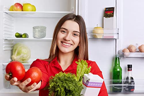 Refrigerator Deodorizer Fridge Deodorizer 12-Hour Quick Odor Eliminator Beyond Baking Soda and Bamboo Charcoal Air Purifying Bags