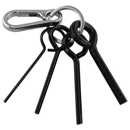 JianLing 1set Annular Allen Wrench Set Standard Dogging Key with Full Loop, Allen Wrench Door Key for Push Bar Panic Exit Devices (1pc 5/64 1pc 1/8 1pc 5/32 1pc 7/32 black circle and 1pc keychain)