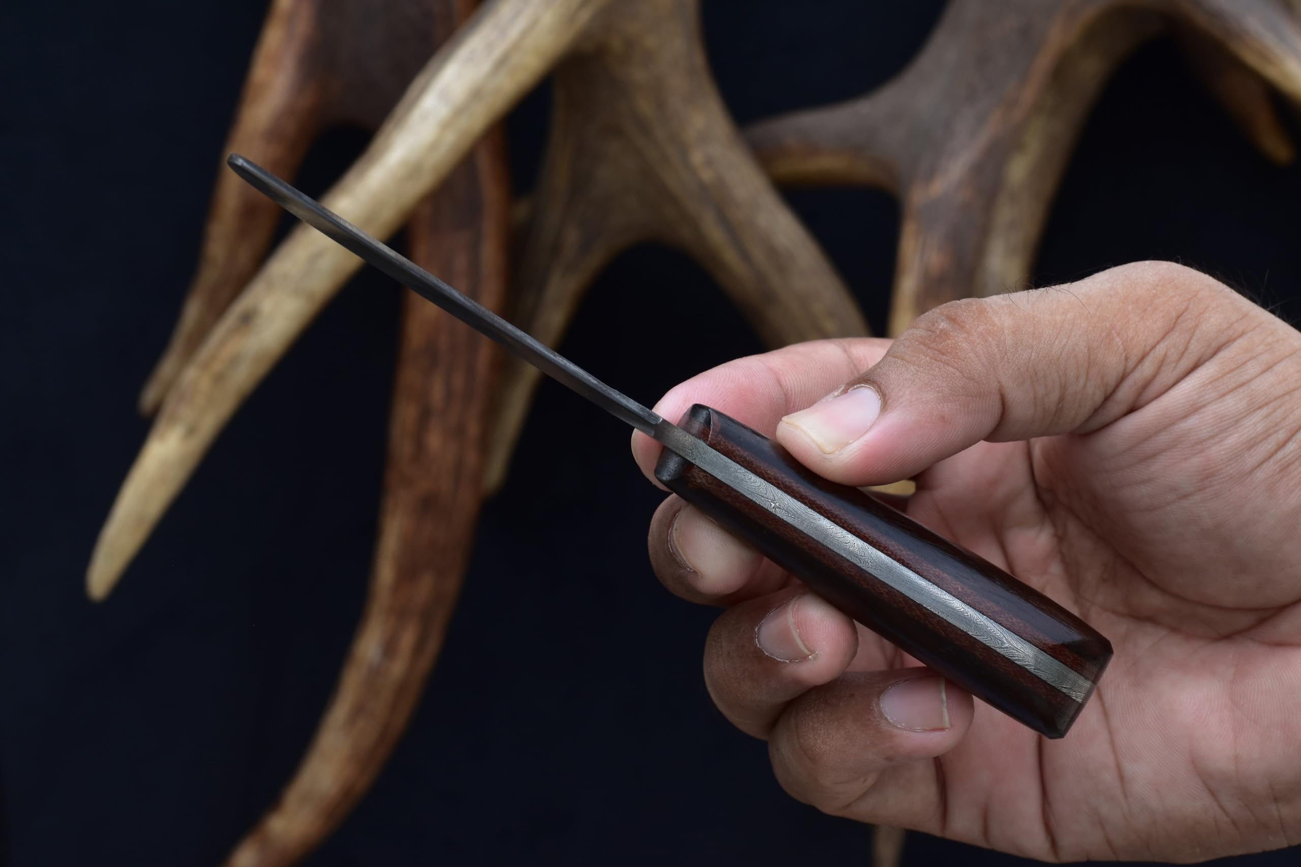 Knives Ranch Damascus Steel Small Castrator with Indian Rosewood Handle Dual Carry Vertical or Horizontal Cowboy Crossdraw Leather Sheath (3177-IRW)