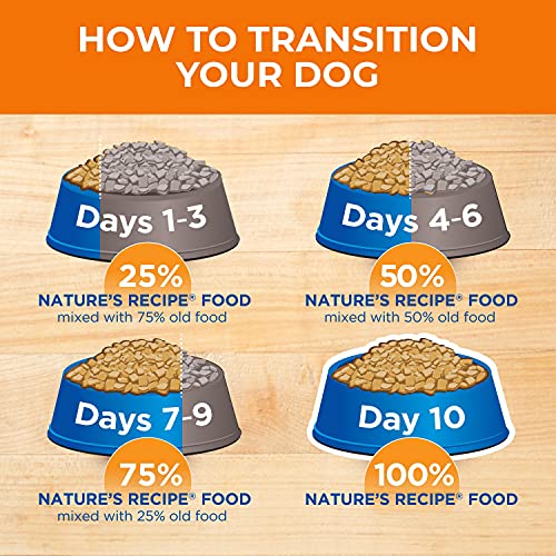 Nature′s Recipe Dry Dog Food, Mature Lamb & Brown Rice Recipe, 24 lb. Bag