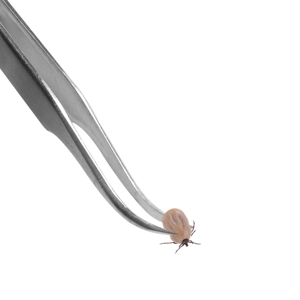 Tick Killer Platinum Tick Removal Tool Set, Stainless Steel Tick Remover Tweezers Kit, Protective Metal Case, Identification Card & Plastic Mini Bags