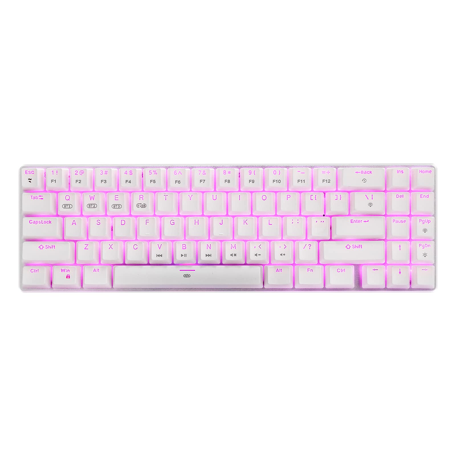 HUO JI 60% Compact RGB Wireless Mechanical Gaming Keyboard, Red Switches, Bluetooth 5.0, Wired Keyboard 71 Keys for PC Tablet Laptop Cell Phone, White